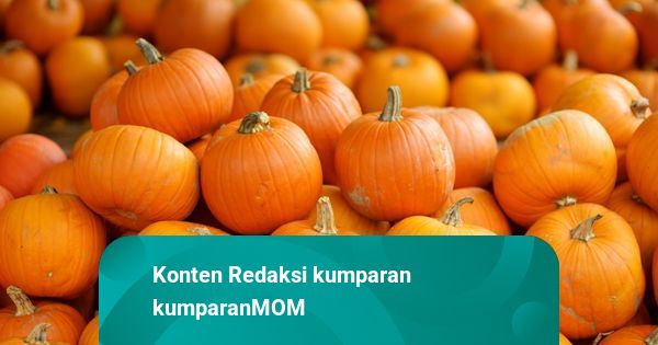 Labu Parang untuk Makanan Bayi, Ini 5 Manfaatnya | kumparan.com