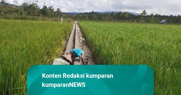 Kementan Dorong RJIT untuk Tingkatkan Produktivitas Pertanian di Buton ...