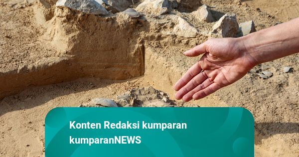 Foto: Telur Burung Unta Berusia 4.000 Tahun Ditemukan di Gurun Israel ...