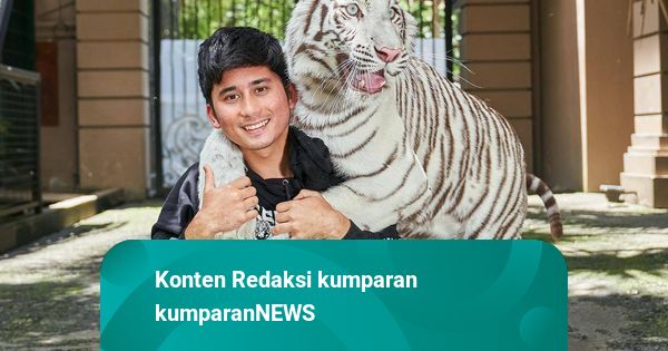 Alshad Ahmad Satu-satunya yang Punya Penangkaran Harimau Benggala di ...