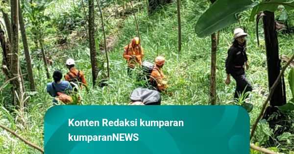 Seorang Wanita Hilang di Hutan Gunung Gendis Pasuruan, 3 Hari Belum ...
