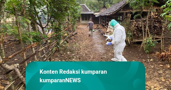 Makan Daging Bangkai Sapi, 1 Warga di Gunungkidul Positif Antraks ...