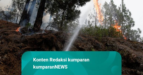 Damkar Spanyol Berjibaku Padamkan Kobaran Api yang Bakar Hutan Tenerife ...