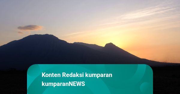 Terekam Kamera: Macan Tutul Melintas di Taman Nasional Baluran ...