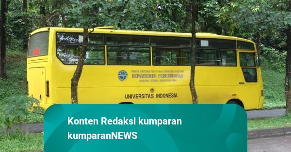 Dugaan Pelecehan Seksual di Bis Kuning UI: Mahasiswi Dipepet Tiap Bis ...