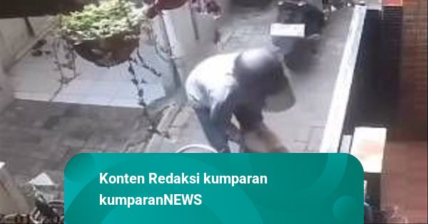 Kucing Anggora di Tangerang Dicuri, Dimasukkan ke Bagasi Jok Motor ...