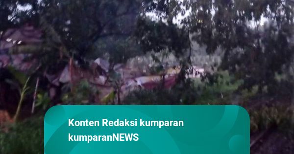 Evakuasi Pohon Tumbang di St. Pondok Ranji-Kebayoran Selesai, KRL Bisa ...