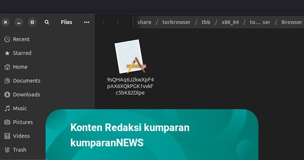 Penampakan Kunci PDN yang Dirilis Brain Cipher, Ukurannya Cuma 54 KB ...