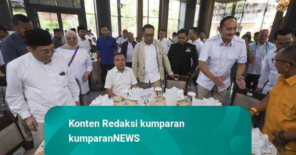 Riza Patria Ungkap 493 Orang Masuk Tim Pemenangan RK-Suswono: Dasco ...
