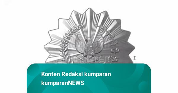 Ini Bentuk Pin Penghargaan Buat Seluruh Anggota DPR Periode 2019-2024 ...