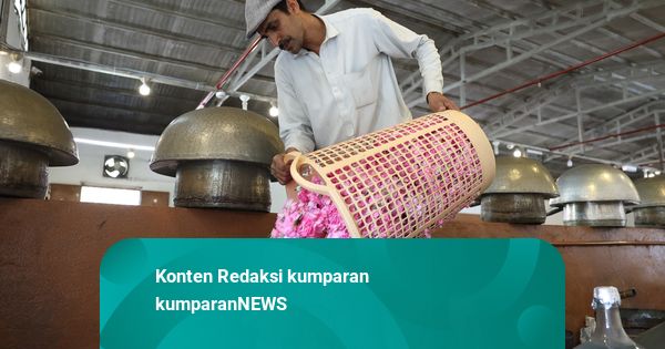 Foto: Produksi Mawar di Arab Saudi Terancam Turun Akibat Perubahan ...