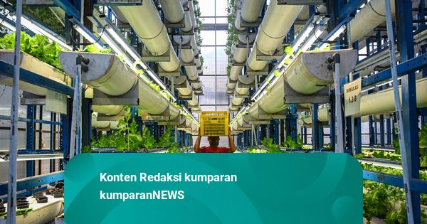 Foto: Melihat Ladang Farm, Hidroponik Berundak di Cilandak | kumparan.com
