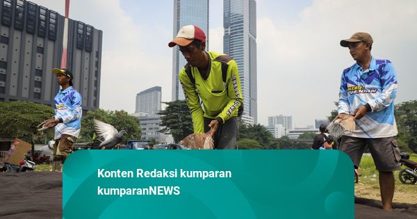 Foto: Kepakan Sayap Merpati di Tengah Ibu Kota | kumparan.com