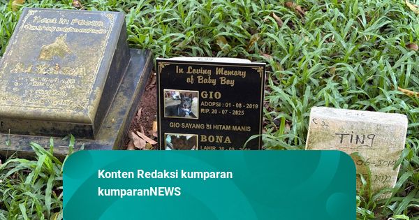 Nisan-Nisan Kecil di Ragunan dan Cerita Cinta untuk Anabul Kesayangan ...