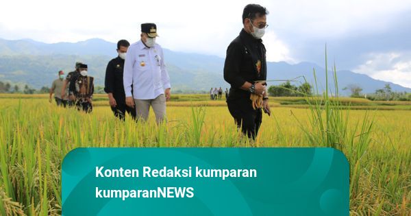 Dapat Program RJIT, Pertanian di Kabupaten Sekadau Berkembang Pesat ...