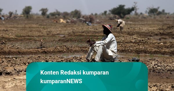 45 Orang Tewas dalam Serangan Bandit ke Desa di Nigeria | kumparan.com