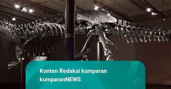 Ada Dinosaurus Tertinggi di Dunia di Berlin | kumparan.com