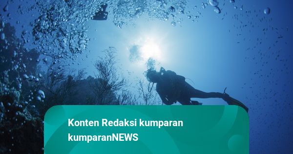 Pulau Matakus Siap Jadi Pusat Diving Terbesar di Timur Indonesia ...