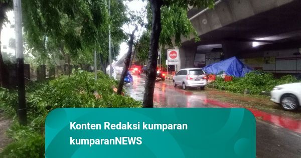 Pohon Tumbang di Flyover Kuningan Sudah Dibereskan, Lalin Lancar ...