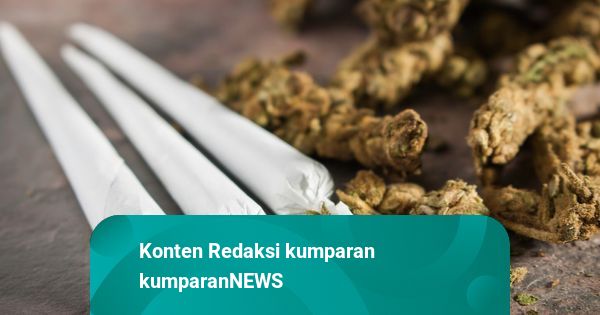 23 Kg Ganja di Sumut Hendak Dibawa ke Jakarta Pakai Karung | kumparan.com