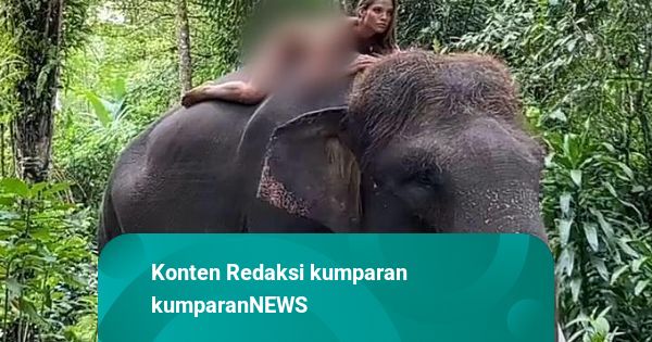 Minta Maaf, Selebgram Rusia yang Foto Telanjang di Atas Gajah Tak ...