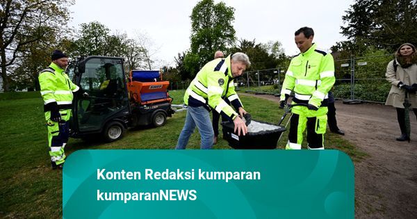 Saat Kota Lund, Swedia, Gunakan Kotoran Ayam untuk Cegah Penyebaran ...