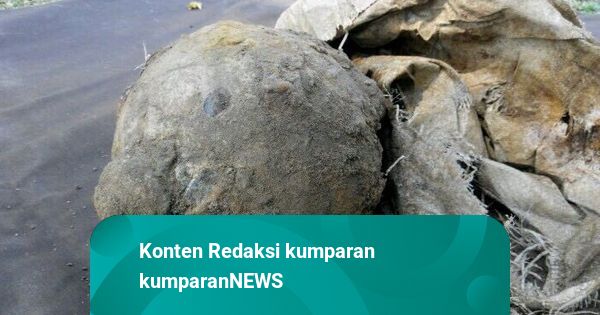 Polda Aceh Temukan Bom Rakitan yang Disimpan Eks Anggota GAM | kumparan.com