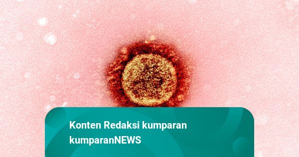 Eijkman Bicara Tren COVID-19: Varian N439K Makin Banyak; Khawatir ...