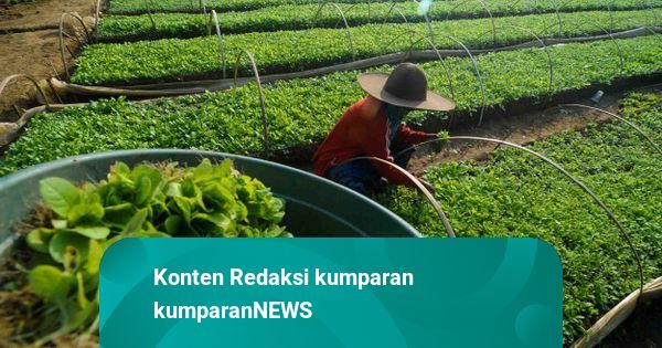 Pentingnya Pembahasan Bersama Isu Global Produk Perlindungan Tanaman ...