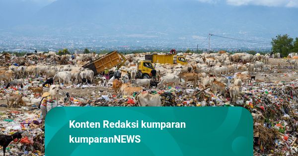 Pasaran Wawai, YABB-Changemakers Tangani Sampah Lewat Ekosistem dan ...