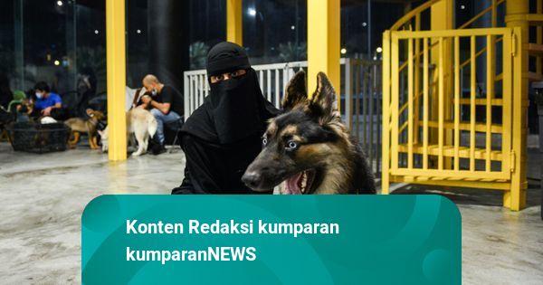 Foto: Kafe Anjing Pertama di Arab Saudi | kumparan.com