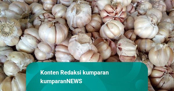Pasar Pademangan Jual Bawang Putih Rp 70.000 per Kg, Tertinggi di DKI ...