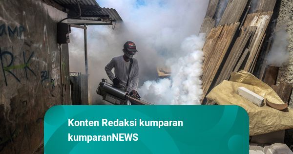 Bisakah Indonesia Bebas DBD? | kumparan.com