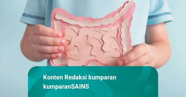 Deteksi Dini Kanker Kolon dan Rectum, Simak Beberapa Pencegahannya ...