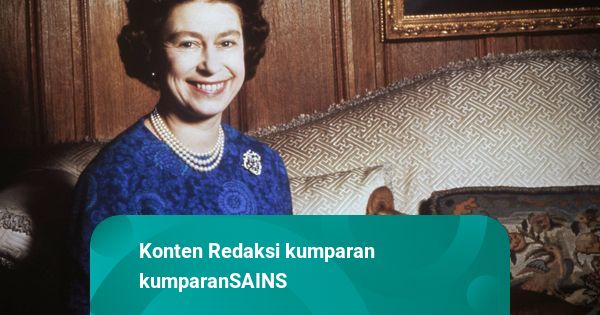 Daftar Anjing Ras Peliharaan Ratu Elizabeth II | kumparan.com