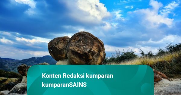 Fenomena Aneh Batu Hidup di Rumania: Tumbuh, Bergerak, hingga Bertelur ...