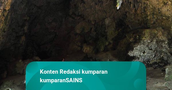 Menguak ‘Isi Perut’ Liang Bua, Gua yang Jadi Hunian Manusia Purba di ...