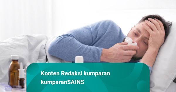 Kenapa Kita Gampang Sakit Belakangan Ini? Begini Kata Ahli - Sehatnesia ...