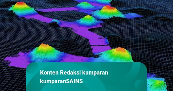 Lebih dari 19.000 Gunung Berapi Purba Ditemukan di Dasar Lautan ...