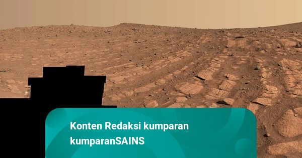 NASA Temukan Daratan Bekas Sungai Kuno di Mars, Ini Buktinya | kumparan.com