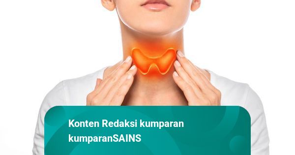 Memahami Kanker Tiroid Lewat Deteksi Dini dan Pengobatan | kumparan.com