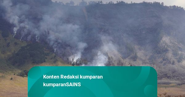 Apa itu Flare, Suar Penyebab Bukit Teletubbies Bromo Terbakar ...