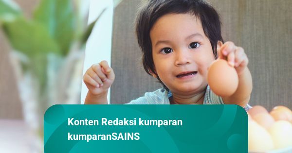 Cara Ketahui Telur yang Sudah Direbus Tanpa Membuka Cangkangnya ...
