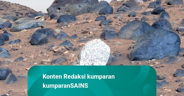 Pertama Kali NASA Temukan Batu Berwarna Silver Bercahaya di Mars ...