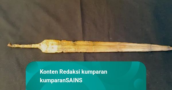 Pedang Perunggu Berusia 3.200 Tahun Bertuliskan Ramses II Ditemukan ...