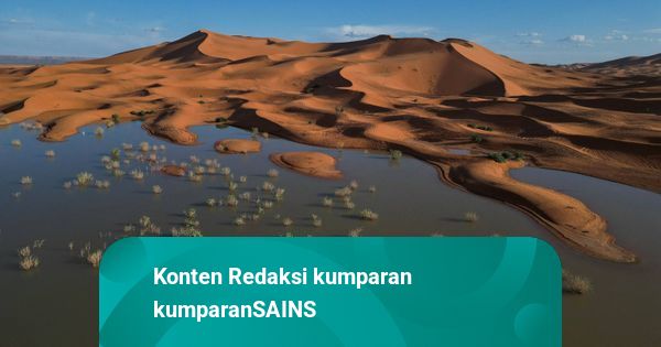 PBB Prediksi, Pemanasan Global Bakal Datang 2 Kali Lebih Buruk dari ...