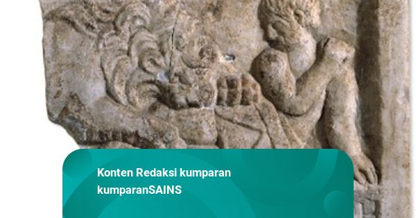 Peneliti Temukan Bukti Pertama Gladiator Romawi Melawan Singa ...