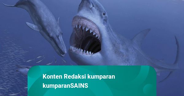 Mengenal Megalodon, Hiu Raksasa dalam Film 'The Meg' | kumparan.com