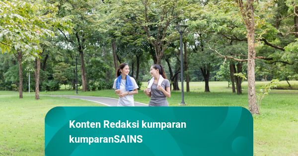 Berjalan Kaki Mundur Ternyata Baik Buat Kesehatan Lho, Ini Buktinya ...