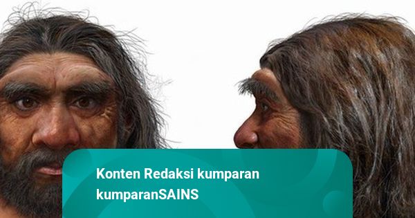 Ini 'Manusia Naga', Spesies Baru Manusia Purba: Mulut Lebar Gigi Besar ...